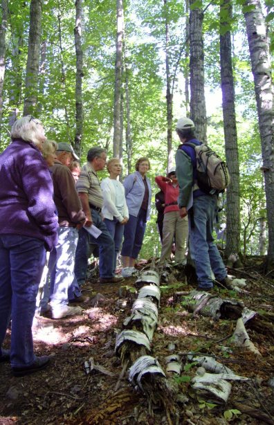 Index of /Projects/Hemlocks/